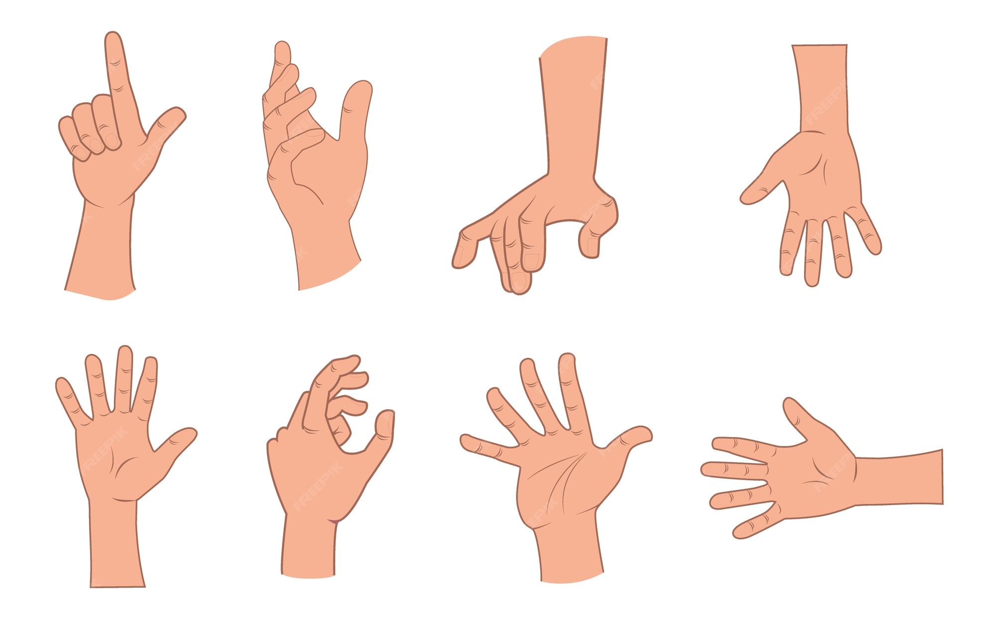 Conjunto de poses de mãos. Diferentes poses de mãos. Conjunto de ... Conjunto de poses de mãos. Diferentes poses de mãos. Conjunto de ...