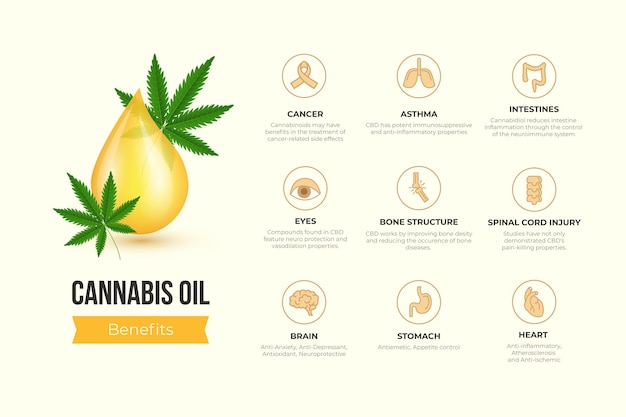 Infográfico de benefícios de óleo de cannabis | Vetor Premium Infográfico de benefícios de óleo de cannabis | Vetor Premium
