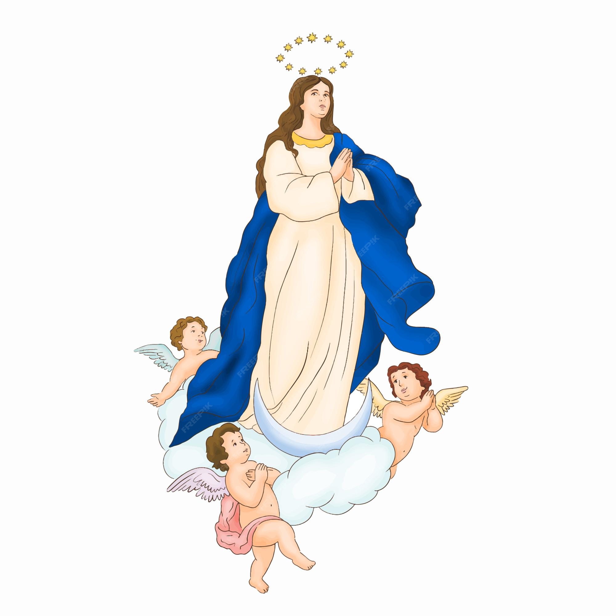 Nossa Senhora Imaculada Conceição Virgem Maria Madonna Vetor Premium