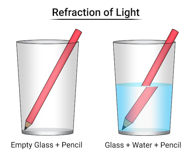 Refração do lápis de experimento de luz na água Ilustração em vetor de ... Refração do lápis de experimento de luz na água Ilustração em vetor de ...