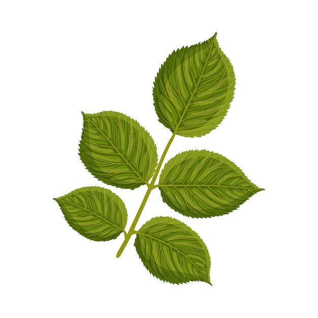 Página 9 Vetores E Ilustrações De Planta Soja Png Para Download